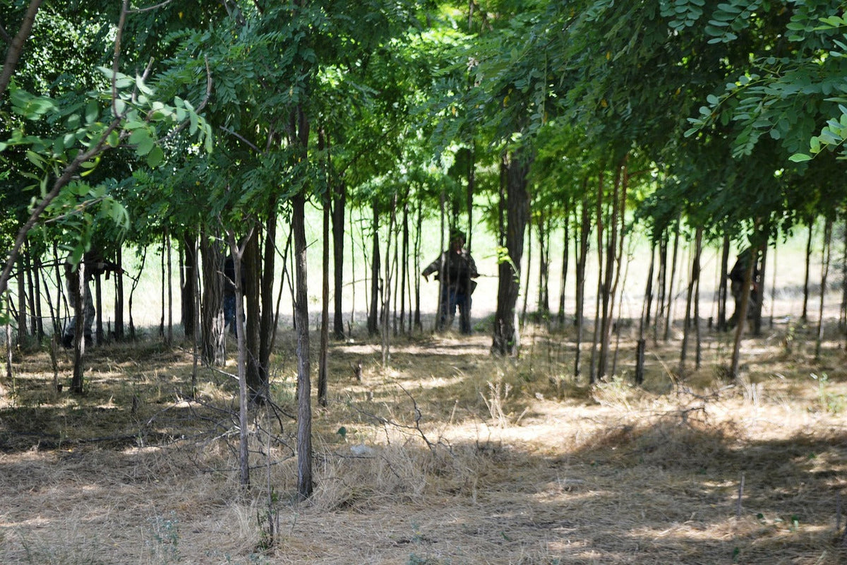 Stealth Gear 101: Enhance Your Tactical Operations with the Right Gear ...